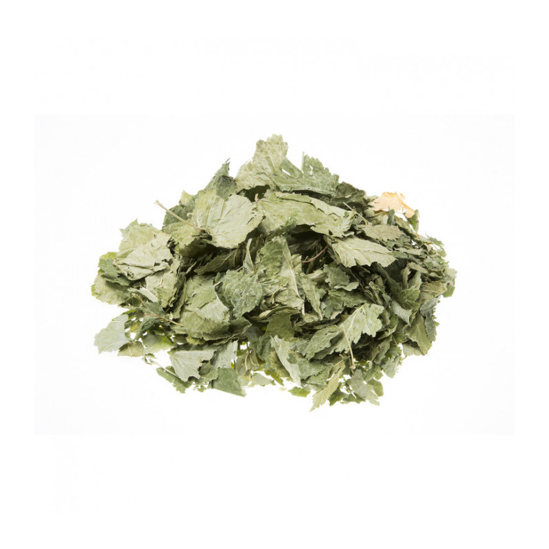 Herboristerie de paris Cassis feuille coupé gros bio 100 gr infusion ...